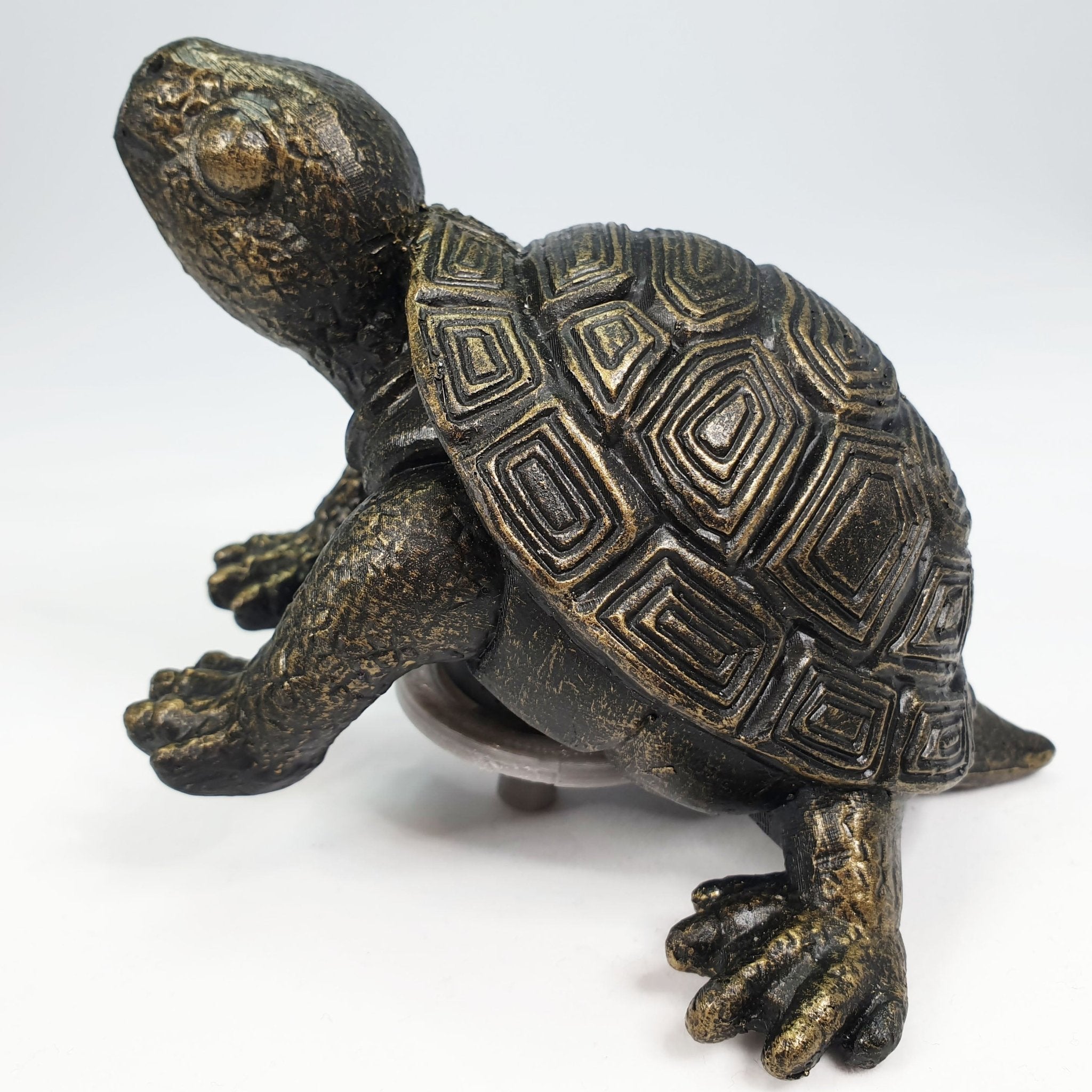 Tobi The Turtle – hydria