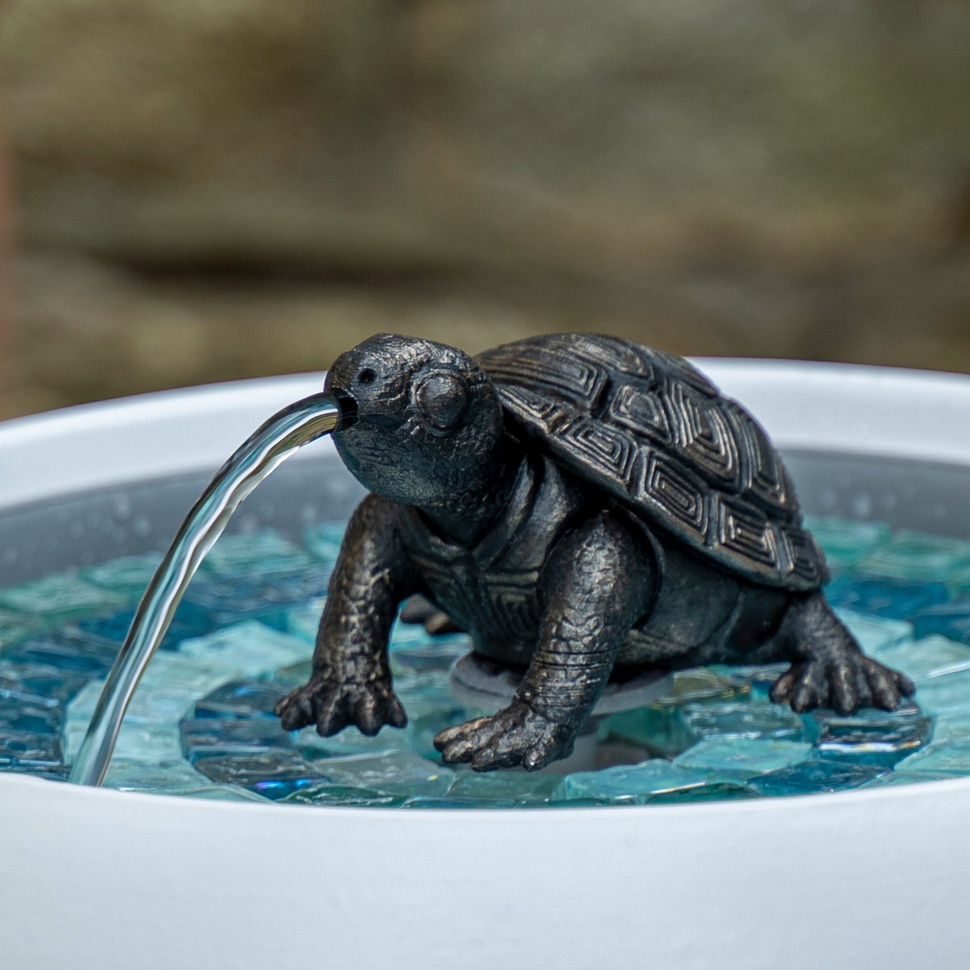 Tobi The Turtle – hydria